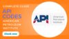 API Codes Explained: 510, 570, 650, 653 – A Complete Guide - EPCLand