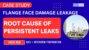 The Root Cause of Persistent Leaks: How We Overcame Flange Face Damage ...